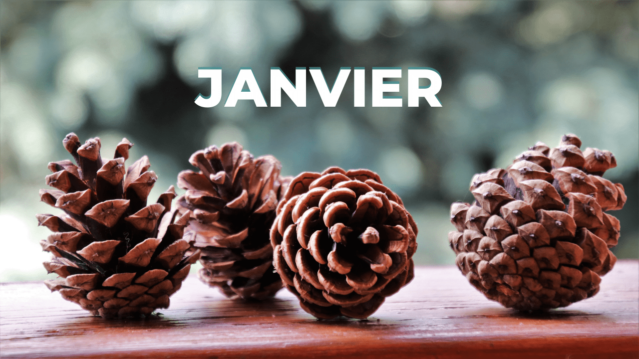 Calendrier fruits et légumes: Janvier | Blog | Swiss Food Academy
