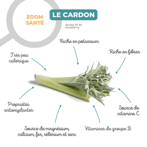 Le cardon, légume d'hiver genevois riche en fibres et peu calorique