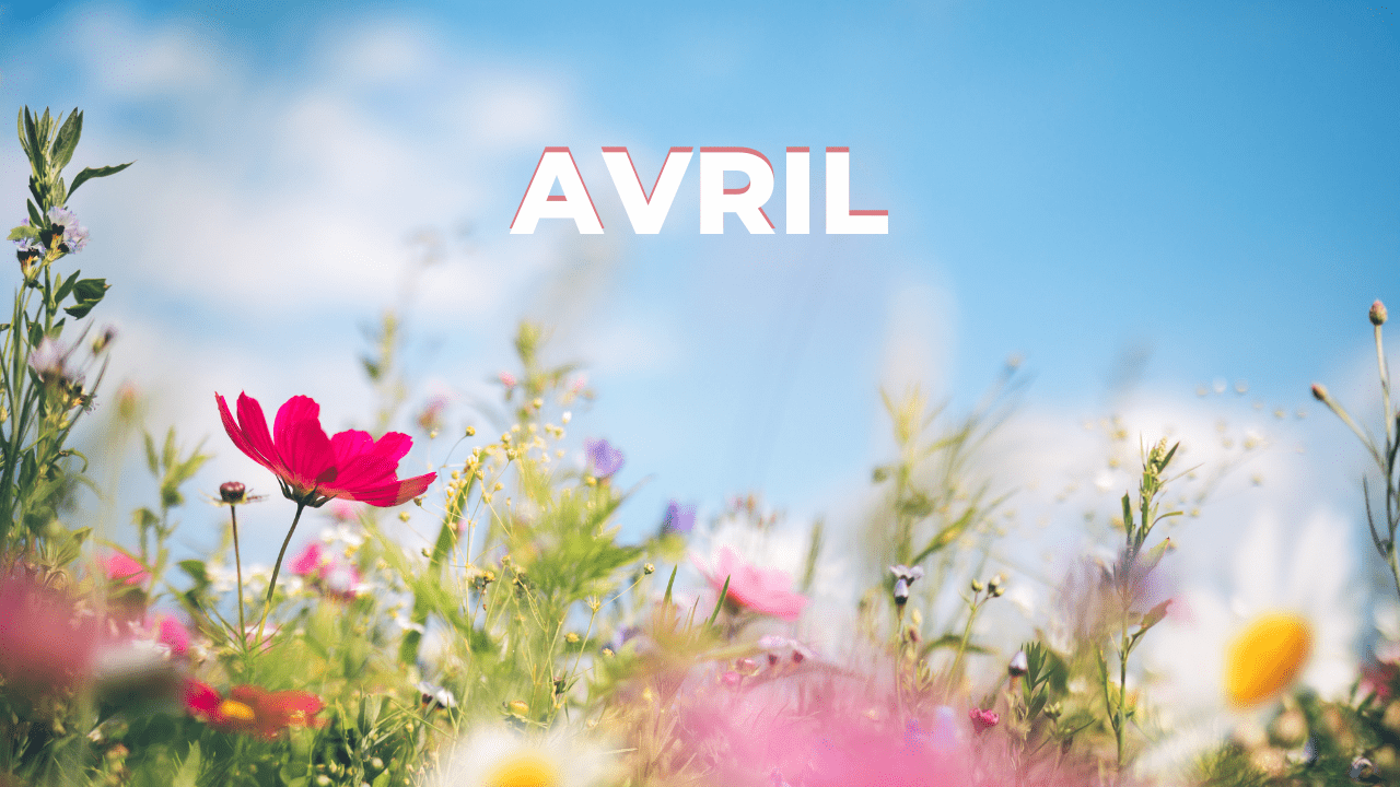 Calendrier fruits et légumes : Avril | Blog | Swiss Food Academy