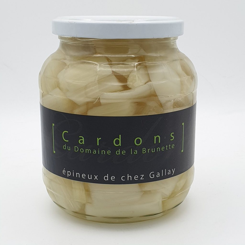 Le cardon, légume d'hiver genevois riche en fibres et peu calorique