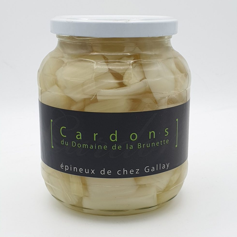 Le cardon, légume d'hiver genevois riche en fibres et peu calorique
