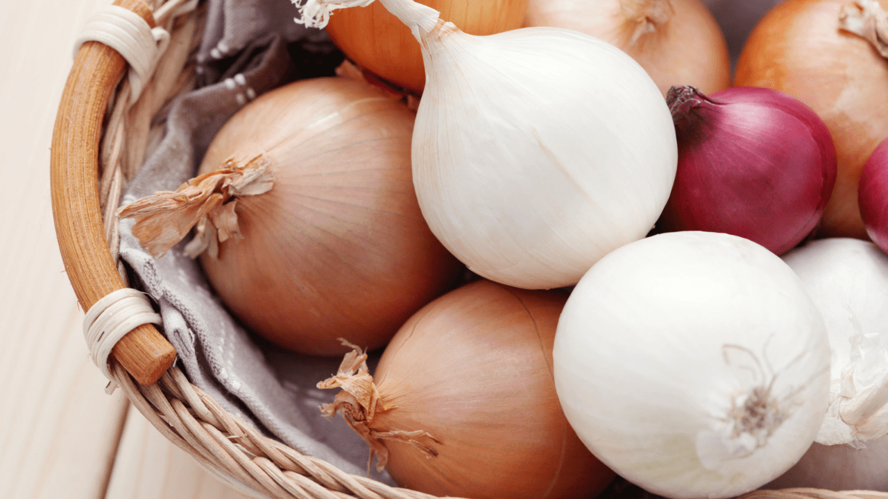 L'oignon | Blog | Swiss Food Academy